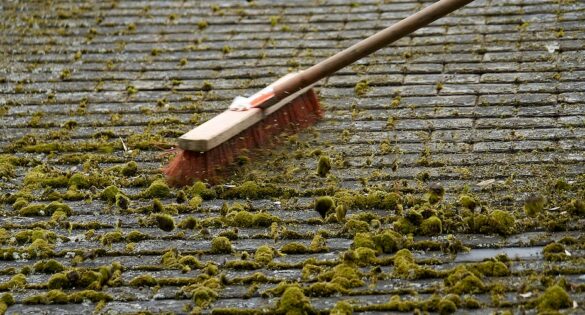 Comment fabriquer de l Anti-mousse pour toiture ? - Housekeeping ...