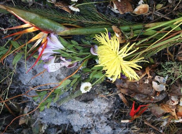 Comment savoir si le compost est prêt ? - Housekeeping Magazine : Idées ...