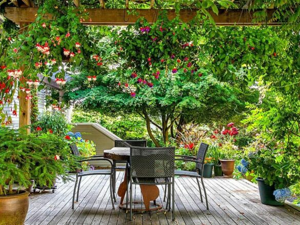 Quel arbre pour ombrager une terrasse ? - Housekeeping Magazine : Idées ...