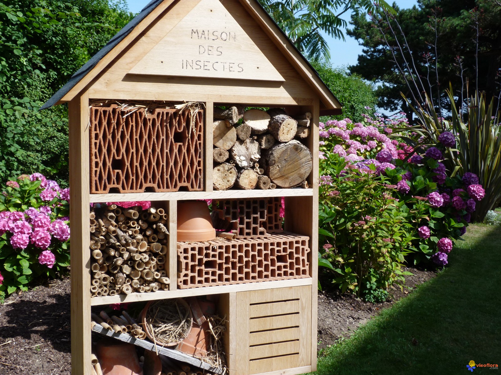 Comment attirer les insectes dans un hôtel à insectes ? - Housekeeping ...