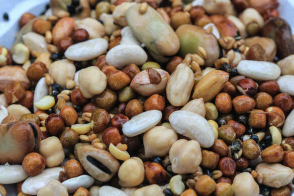 Est-ce que le lupin est une légumineuse ? - Housekeeping Magazine ...