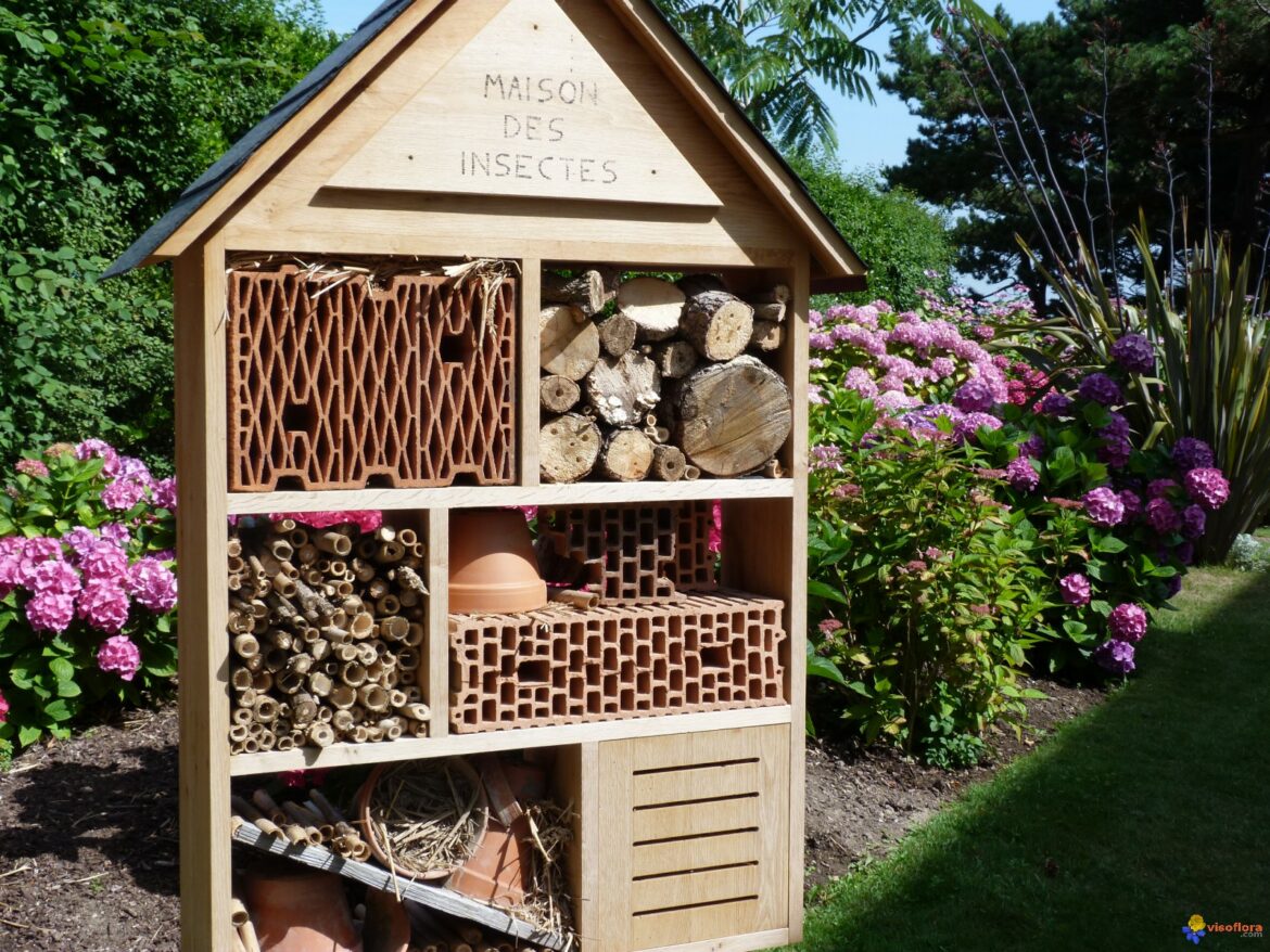 Quels insectes vivent dans un hôtel à insectes ? - Housekeeping ...